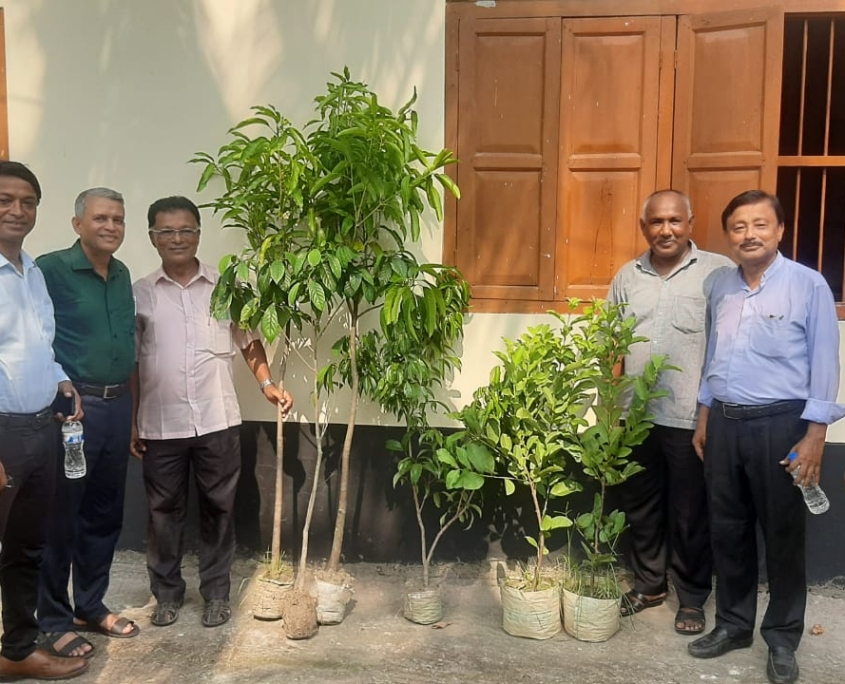 CPRP BHALUKA – SHED BOARD