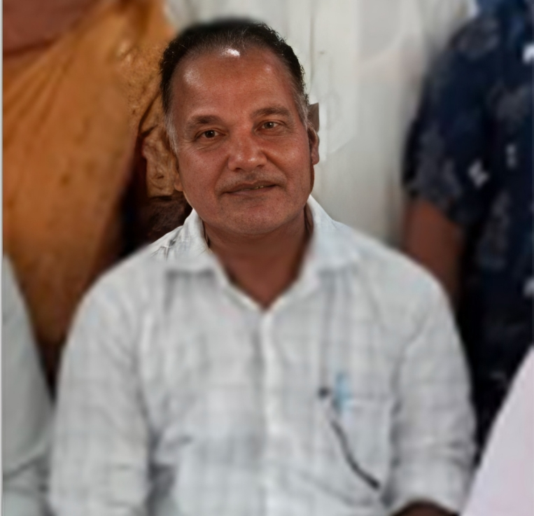 management board – SHED BOARD